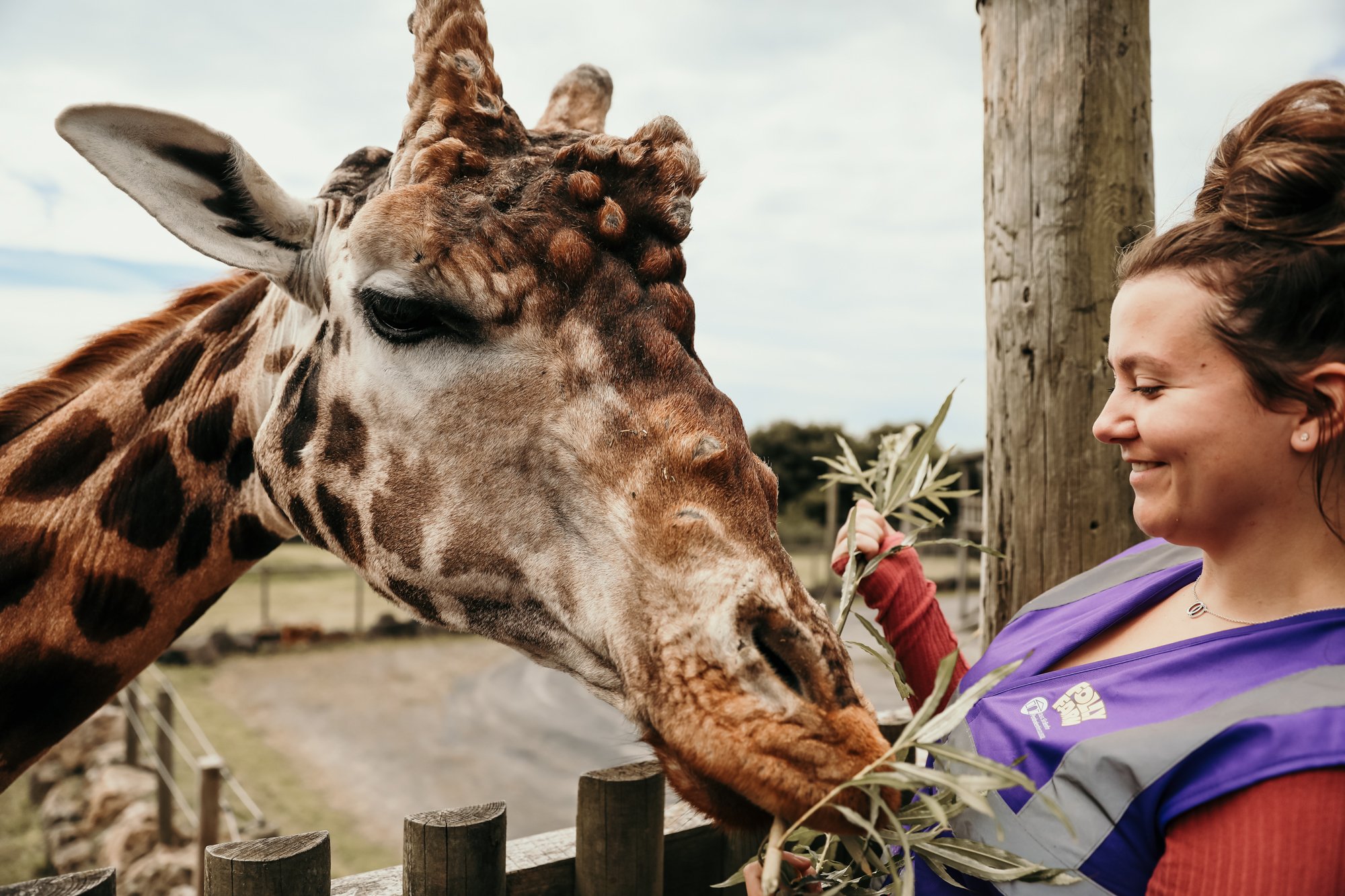 Folly Farm Learning Centre Officially Opened - a unique learning ...