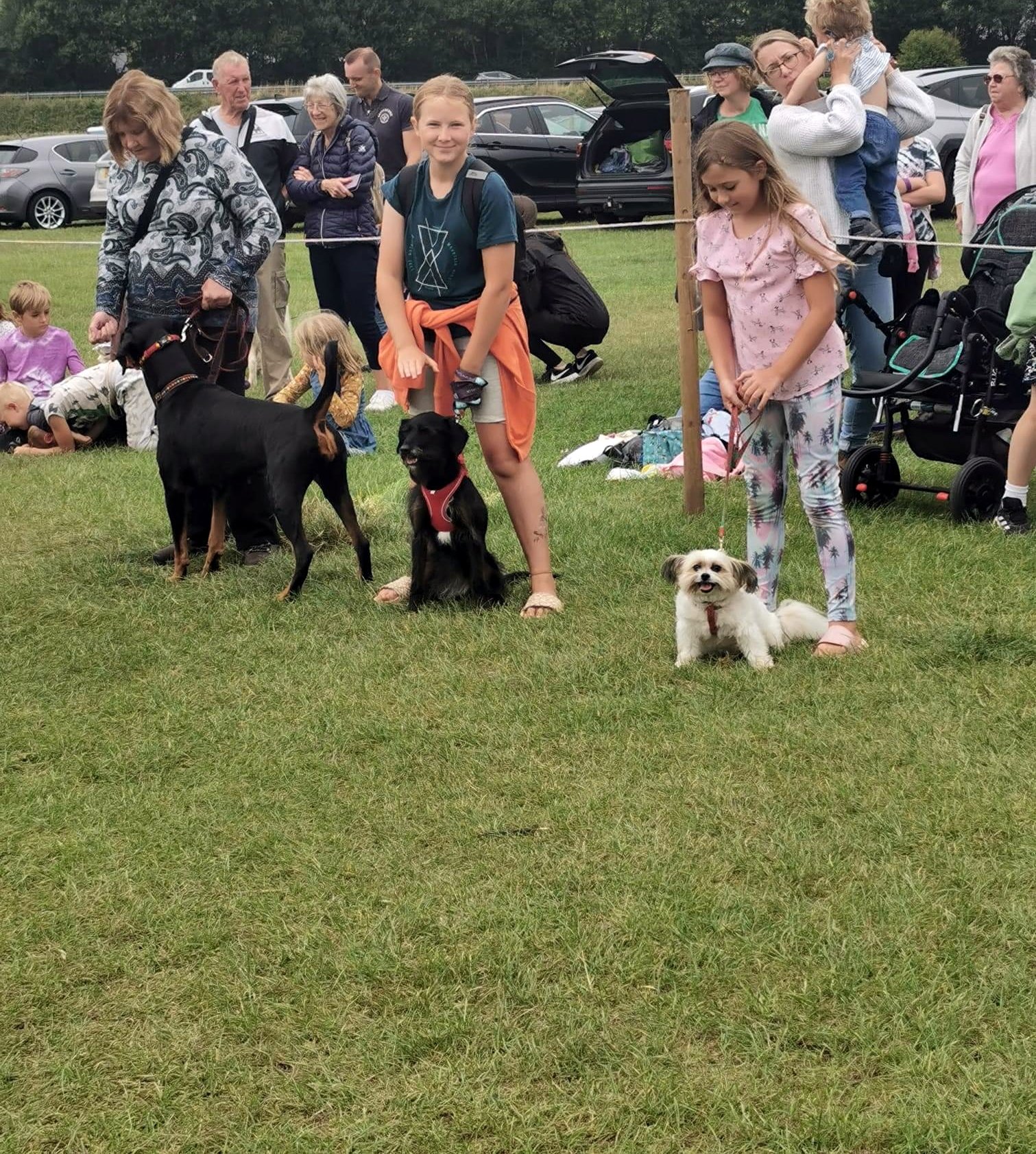 The 71st Annual Martletwy Show | narberth-and-whitland-today.co.uk