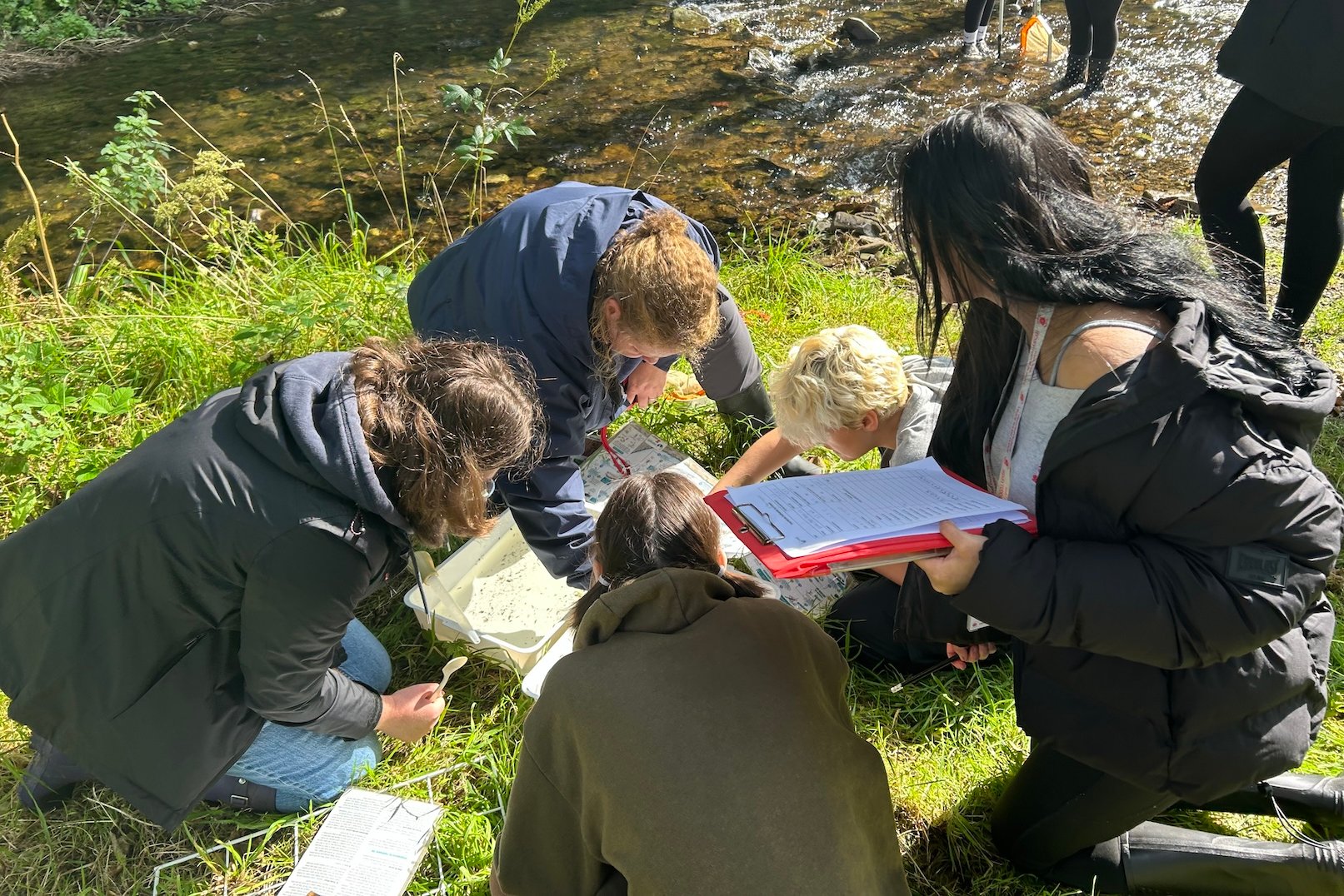Pembroke A Level students collect environmental data at Colby Woodland ...