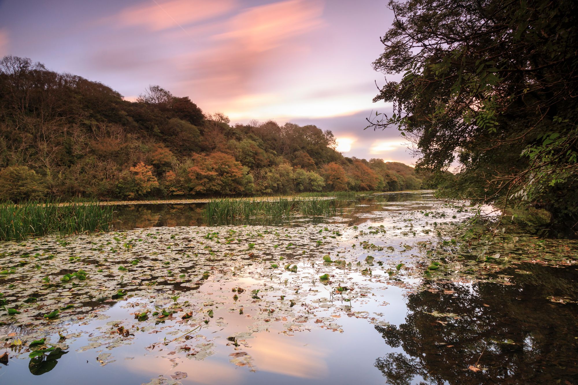 Celebrate St Dwynwen’s Day with a romantic walk at the Stackpole Estate ...