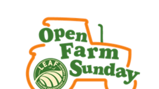 Meet the Guardians of the Earth this Open Farm Sunday! | narberth-and ...