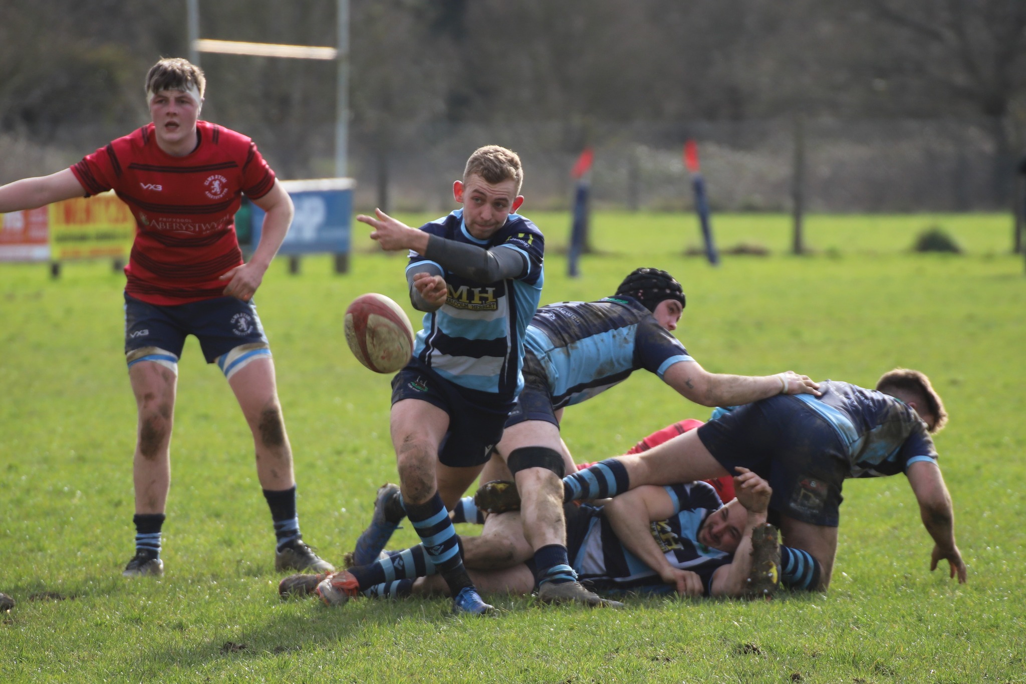 Narberth & Whitland Observer - local news at the heart of the community