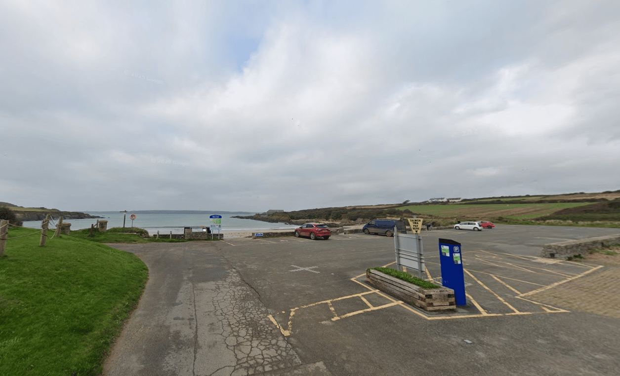 Angle Community Council plans tree planting to enhance biodiversity | narberth-and-whitland ...