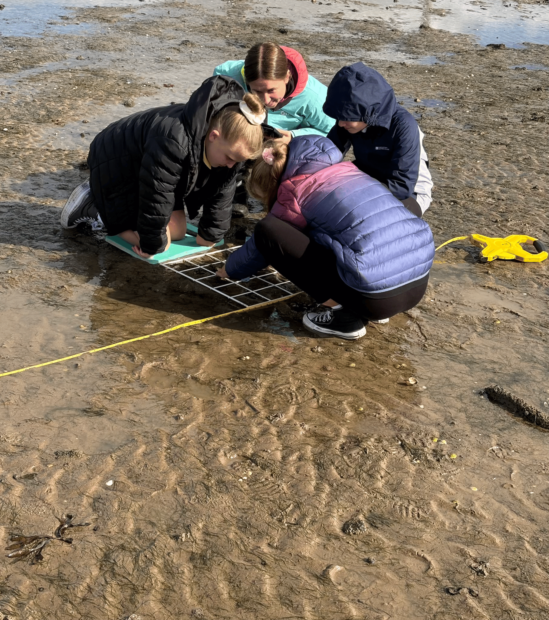 Dragon Darwin Experience and Project Seagrass inspire Neyland students | narberth-and-whitland ...