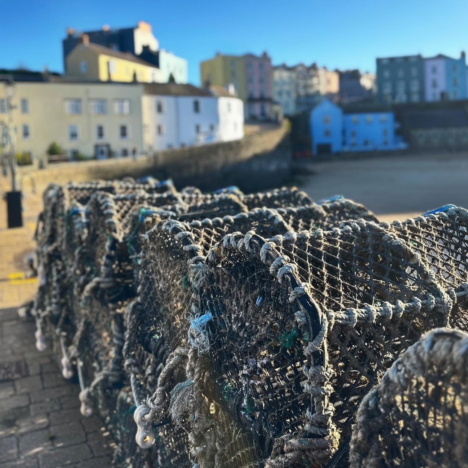 Picture This: Tenby in 2026: Tenby Observer Photography Club | narberth ...